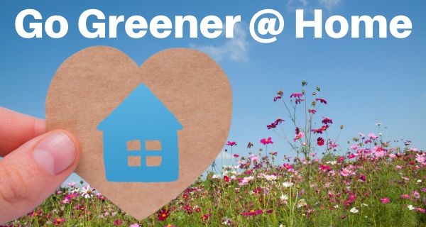 33 Ways You Can Go Greener at Home
