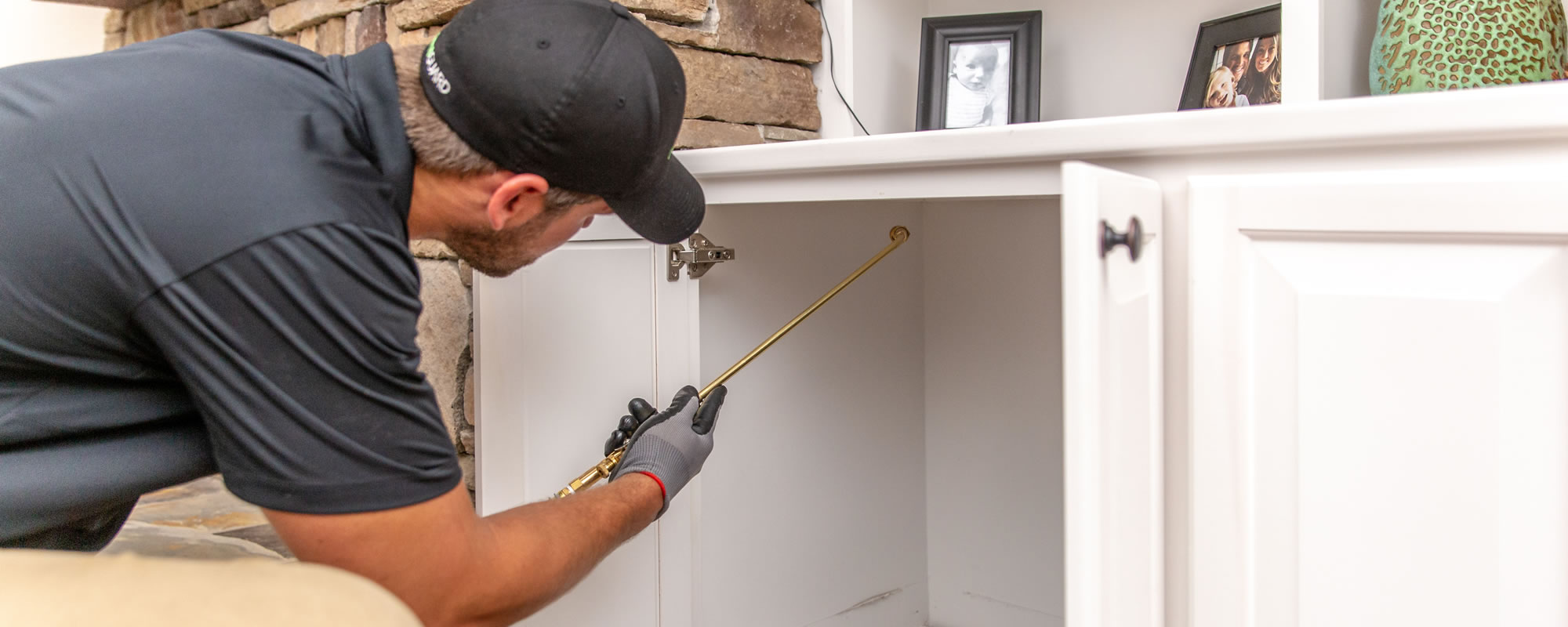 Find a Local Pest Controller Near Me - Compare Quotes