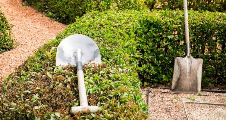 How to Remove a Hedge — Step-by-Step DIY Guide (UK)