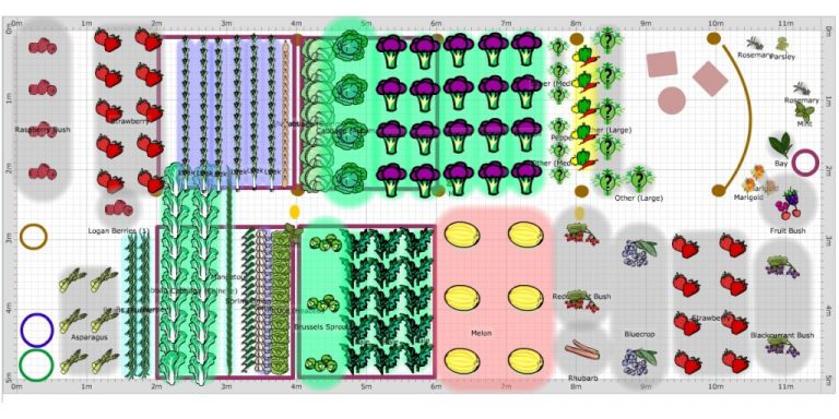 Bringing your Allotment to Life