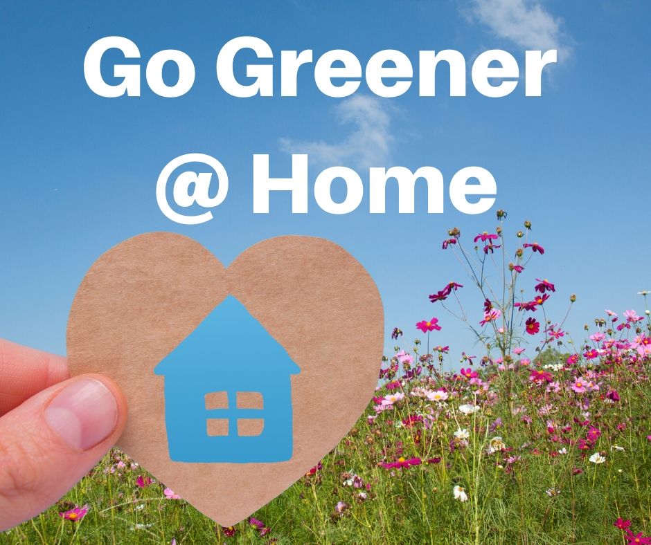 33 Ways You Can Go Greener at Home