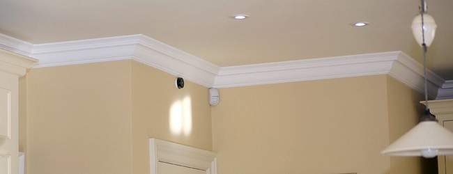 Hire local Standard Coving Specialists - Free Quotes Availiable